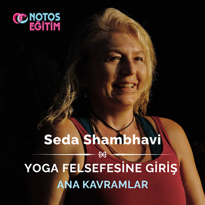 Sally J. Pla’nın İçimdeki Okyanus Romanı ve Kimlik Mücadelesi - Oggito