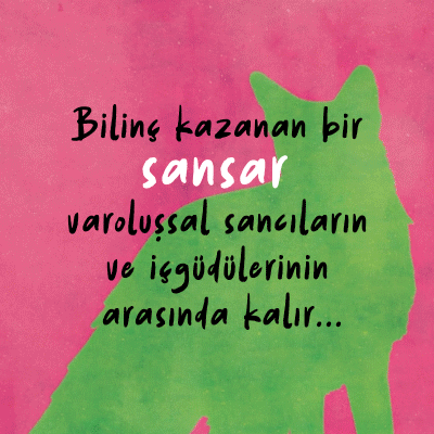 Sally J. Pla’nın İçimdeki Okyanus Romanı ve Kimlik Mücadelesi - Oggito