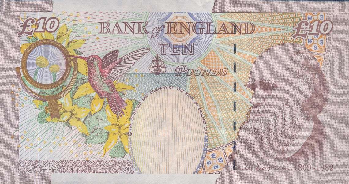 Jane Austen, Charles Darwin’in yerini mi alıyor? - Oggito