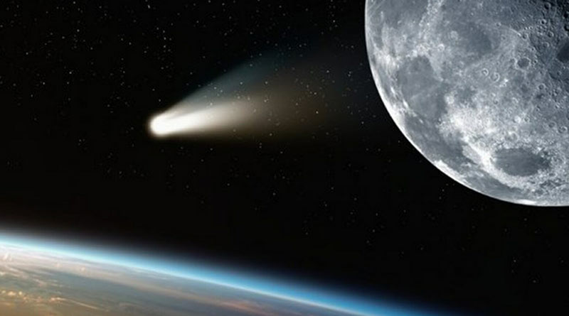 Merak ve Bilim Sarmalı: Neden ‘Merak’ Ediyoruz ki? - Oggito