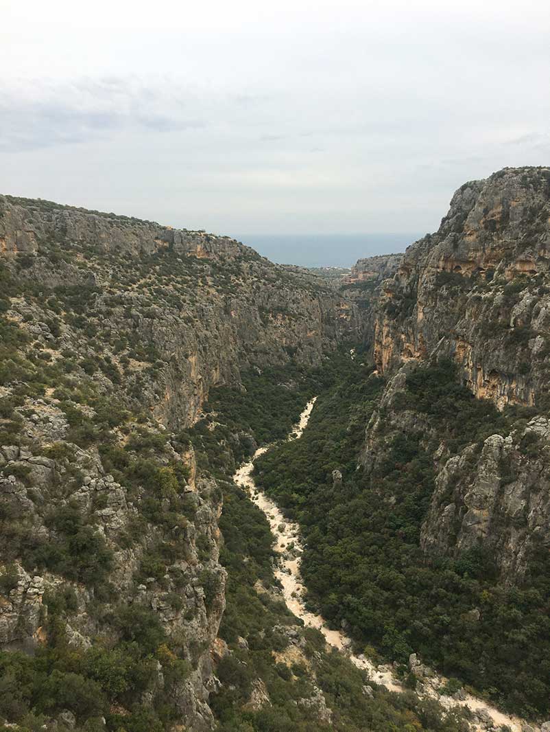 Adam Kayalar - Oggito