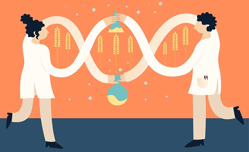 Genetik Mühendisliği ve Besinler: GDO’lar İyi mi Kötü mü? | video - Oggito