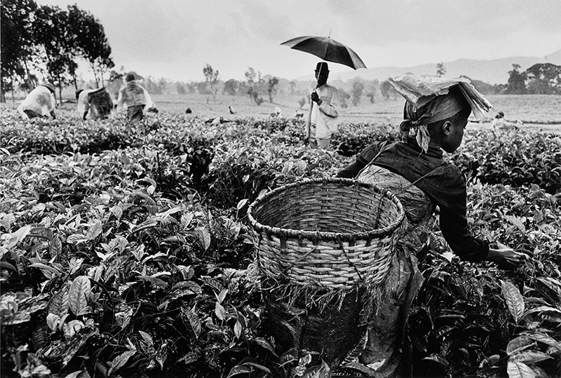 Sebastiao Salgado'nun Nefes Kesici Fotoğrafları - Oggito
