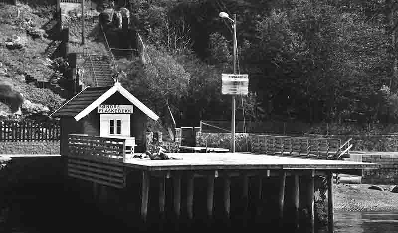 Geç ve Erken Per Petterson Romanları - Oggito