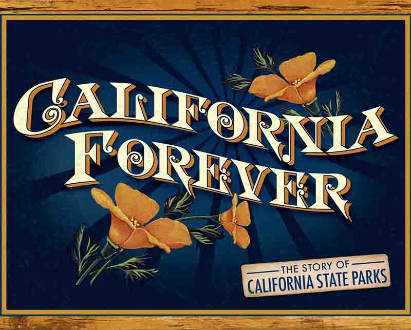 California Forever: Silikon Vadisi Milyonerlerinin Kurmak İstediği ...